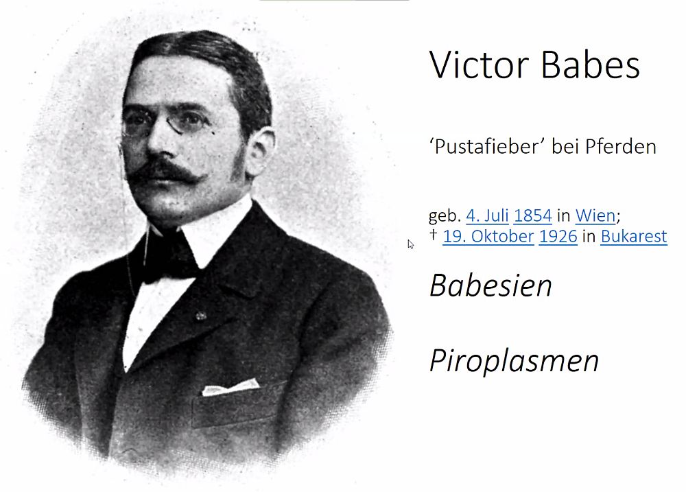 Zecken, Überträger von Babesia- und Theileria-Parasiten – Homepage der ...