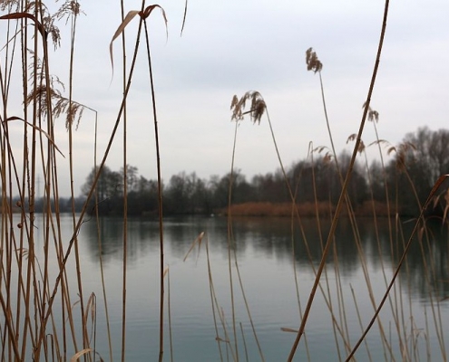 Impressionen vom Hirschauer Baggersee am 2. März 2019 – Homepage der ...