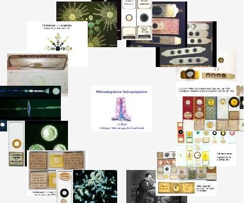 Vortrag „Mikroskopische Salonpräparate“ von Alfons Renz (2010 ...