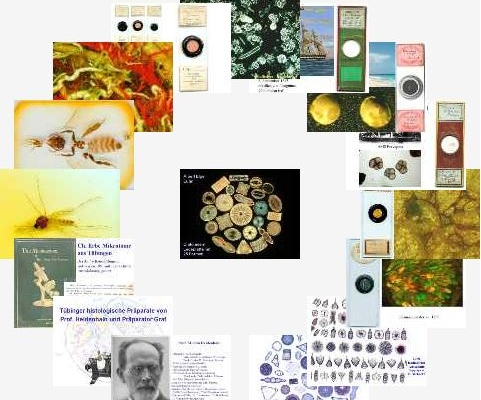 Vortrag „Mikroskopische Salonpräparate“ von Alfons Renz (2010 ...